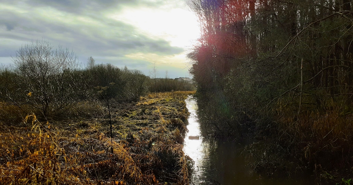 Project to breathe new life into Bathgate Water - West Lothian News